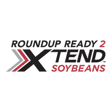 Monsanto to launch Roundup Ready 2 Xtend soybeans this season - Soybean ...